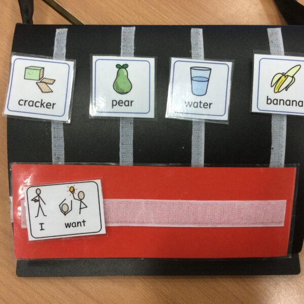 Specialist Resource Provision: The Resource Base