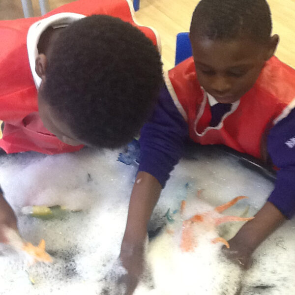 Specialist Resource Provision: The Resource Base