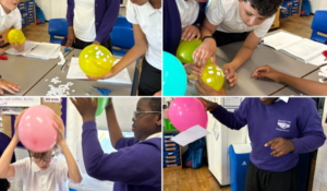 Year 6 Science